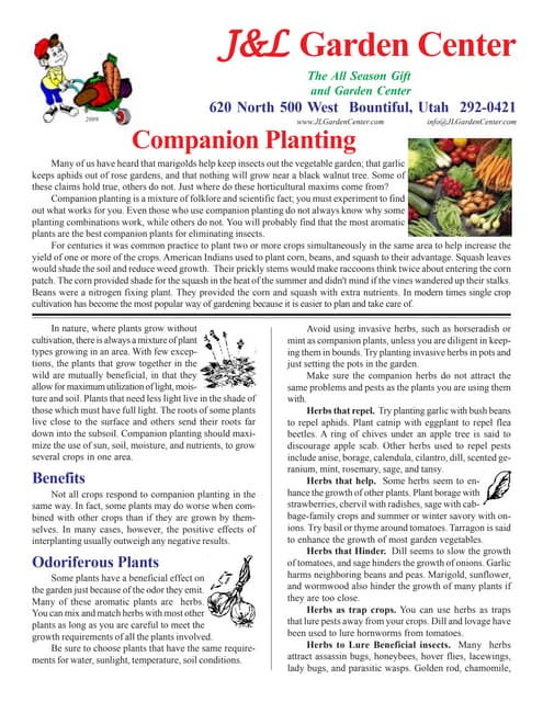 Companion Planting for Fruitful Garden - St. Louis, Missouri | PDF