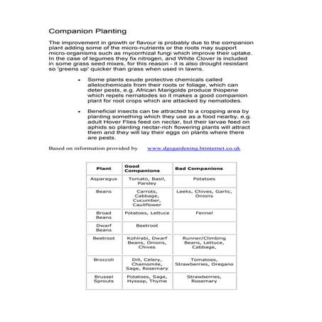 Companion Planting - Hedgend Maze, Australia | PDF