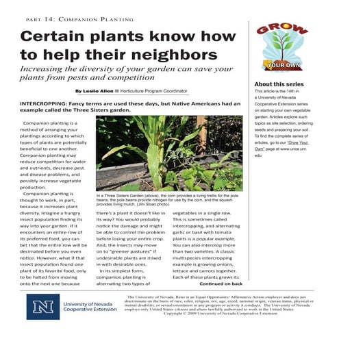 Plant density and Crop Geometry.pptx