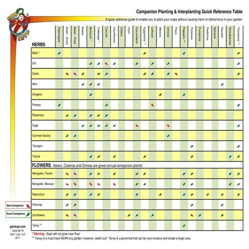 Companion Planting and Interplanting Quick Reference Table | PDF