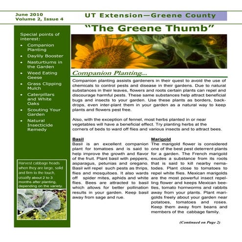 Companion Planting and the Green Thumb - University of Tennessee | PDF ...