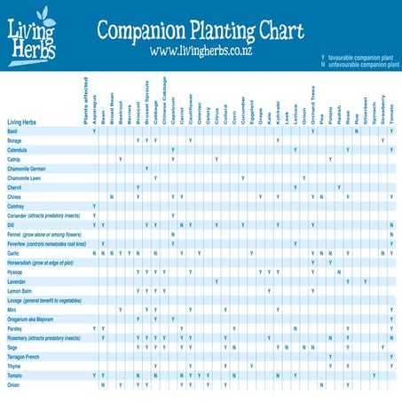 Companion Planting Chart - Living Herbs, New Zealand | PDF