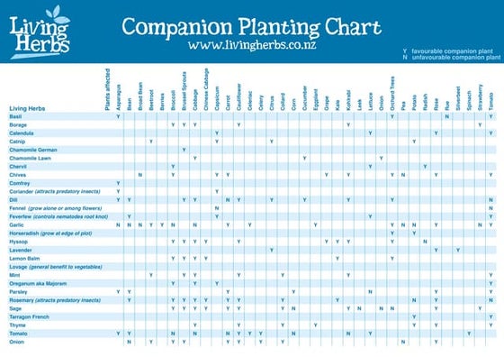 Companion Planting Chart - Penobscot Bay Press, Maine | PDF ...