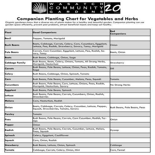 Companion Planting Chart for Vegetables and Herbs Chart - Wasatch ...