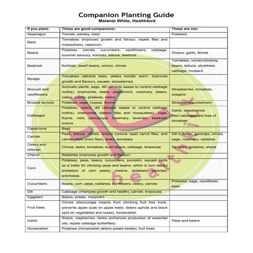 Companion Planting Guide - Healthkick, Australia | PDF