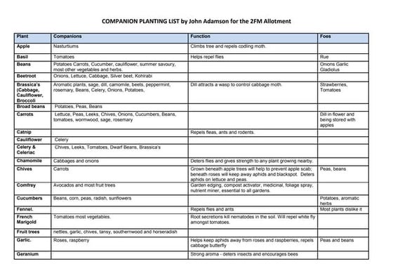 Companion Planting - Tarrant County, Texas Cooperative Extension | PDF