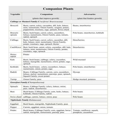 Companion Plants Chart - Eco-Pratique | PDF