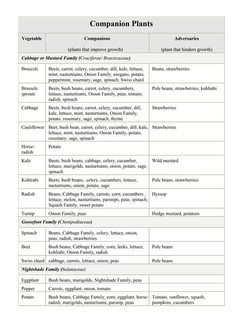 Companion Plants Chart - Homegrown Gourmet | PPT