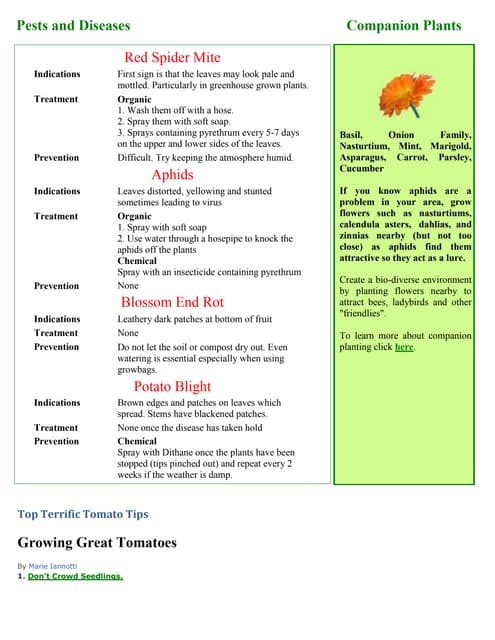 Companion Plants to Repel Insects - Podington Garden Centre | PDF ...