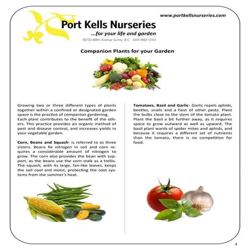 Companion Planting Chart - Living Herbs, New Zealand | PDF