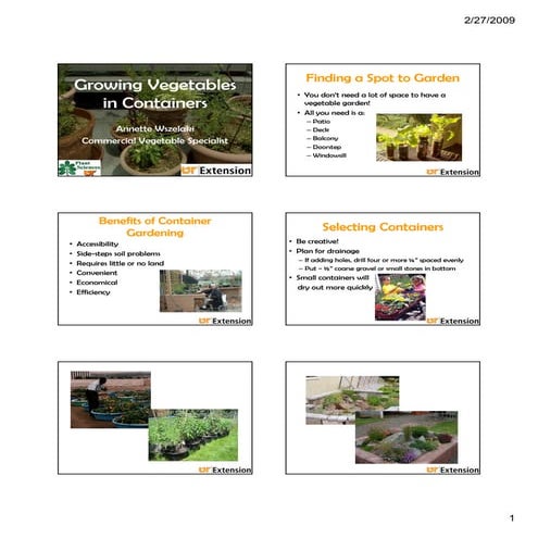 Growing Vegetables in Containers - Utah State University | PDF