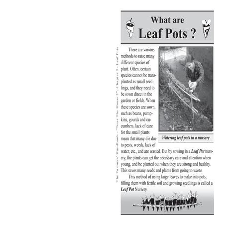 Mixed Vegetable Planting Record Sheet 12-Crop Plot | PDF