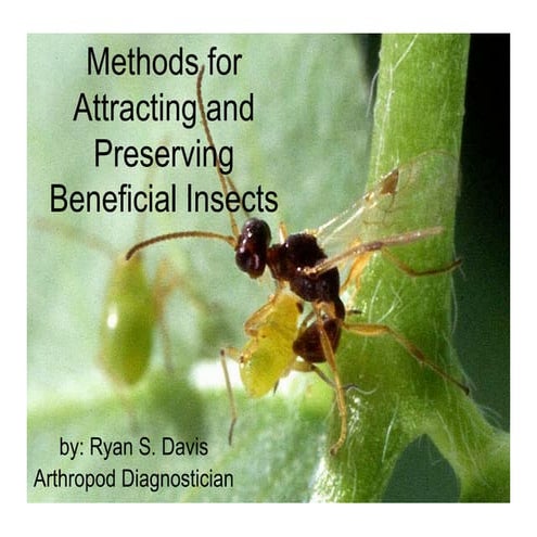 Methods for Attracting and Preserving Beneficial Insects | PDF