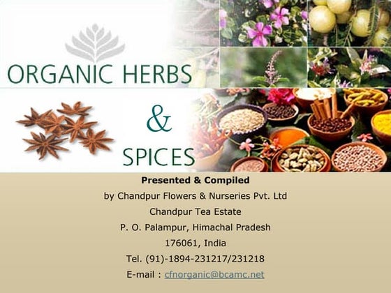 Classification of Spices and flavours Technology ppt | PPT