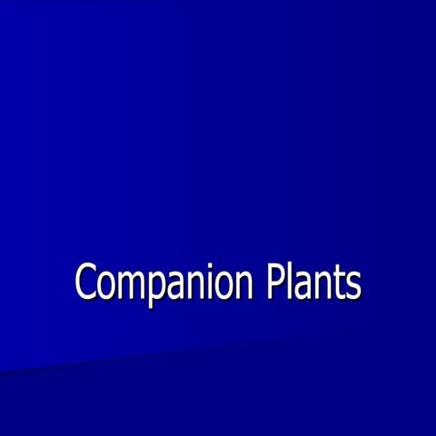 Companion planting | PPT