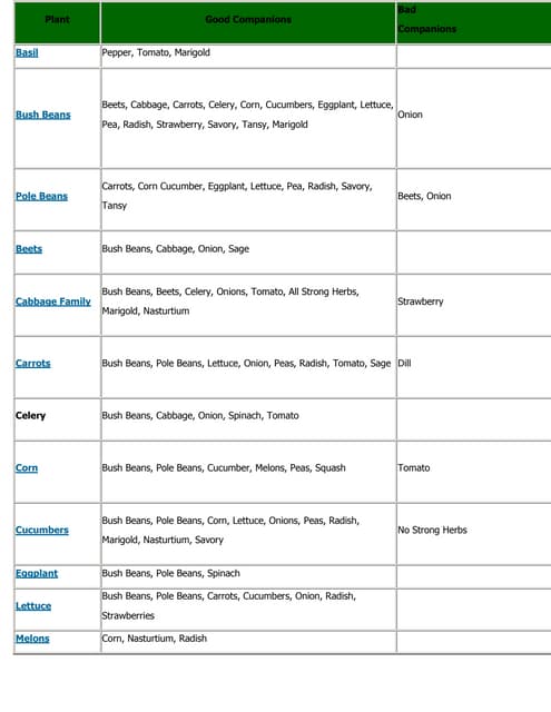 Companion planting | DOC