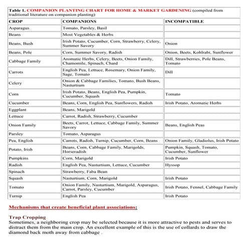 Companion Planting Chart for Home and Market Gardening ...