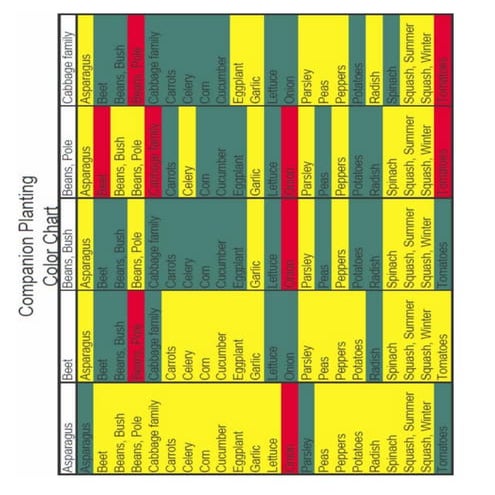 Companion Planting Color Chart - Tiny Tim's Garden, Bellingham ...