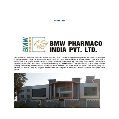 BMW Company Introduction | DOCX | Pharmaceutical Industry | Industries