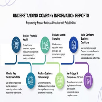Business Information Report Explained: A Step-by-Step Risk Analysis ...