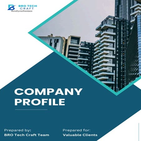 BRO Tech Craft IT Company - Company Profile | PDF