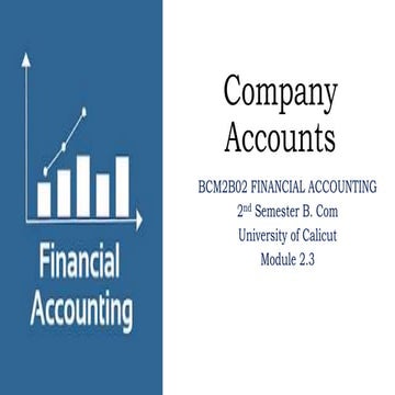 Company accounts 2.3 | PPT
