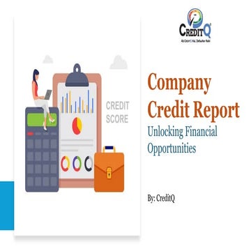 Company Credit Report : Unlocking Financial Opportunities | PPT