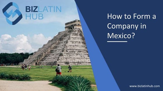 The Main Types of Mexican Business Forms | PPT