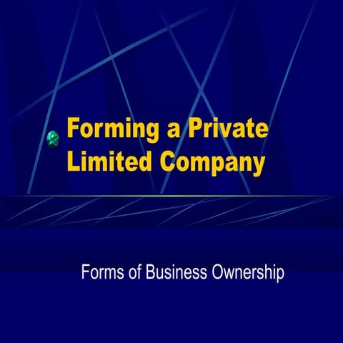PUBLIC AND PRIVATE LIMITED COMPANIES | PPT
