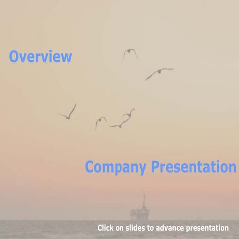 Company presentation | PDF | Business | Business and Finance