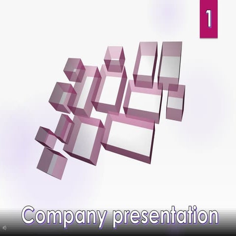 Company presentation | PDF