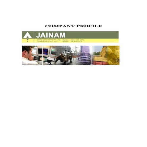 Company profile | PDF