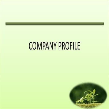 Company profile | PPTX