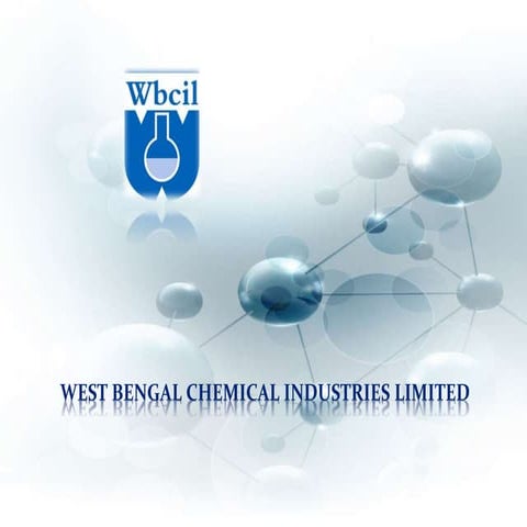 WBCIL company profile.pptx