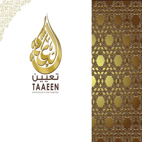 Company profile Taaeen Training & HR Consultancy 2015 | PDF