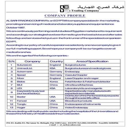 Company profile2010 | DOC