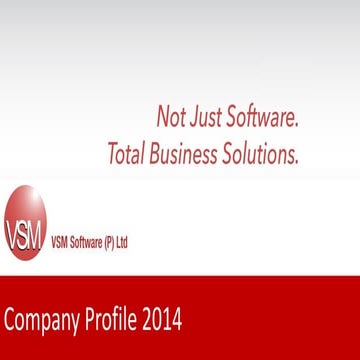 VSM Software Company Profile | PDF