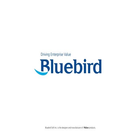 [Company profile] Bluebird Soft inc | PDF