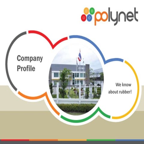 Company profile polynet co. ltd | PPTX