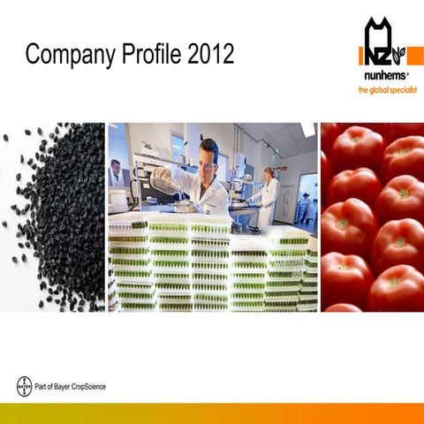Company Profile | PPTX
