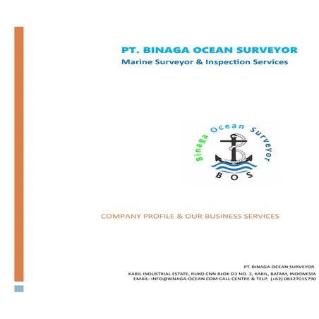 Company profile pt. binaga ocean surveyor | PDF