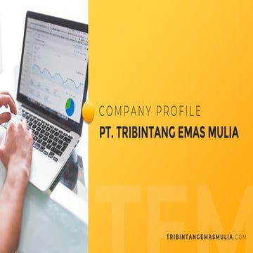 Company Profile Tri Bintang Emas Mulia | PDF