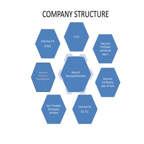 Company structure | PPT