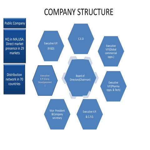 Company structure[1] | PPTX