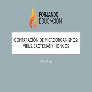 Comparacion_Microorganismos_CN07_OA05.pptx