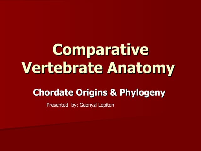Comparative Anatomy