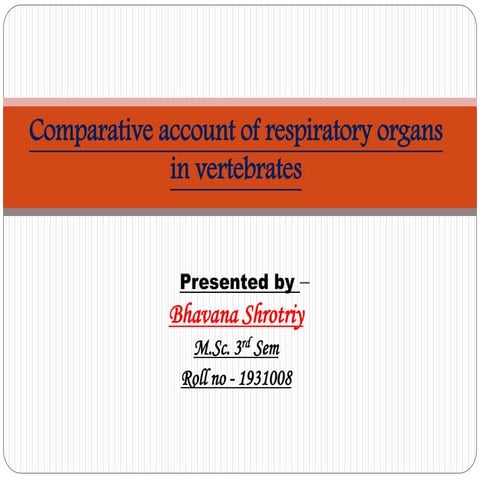 EVOLUTION OF RESPIRATORY SYSTEM | PPTX