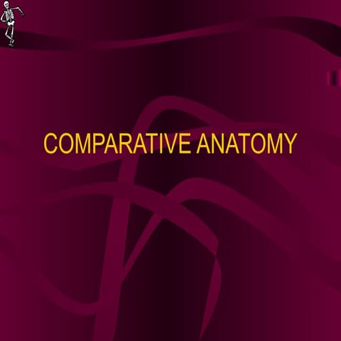 Comparative anatomy | PPT