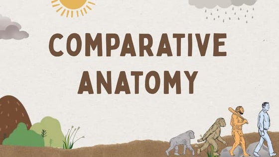 Morphological concepts in evolution involve the study of the physical ...