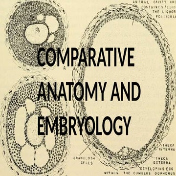 Comparative Anatomy and Embryology.pptx